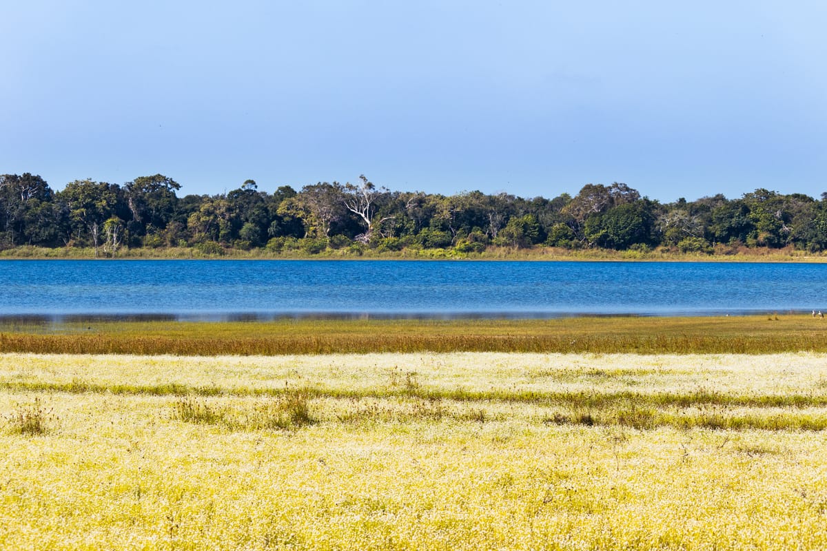 Top 7 National Parks in Sri Lanka | Wonders of Ceylon